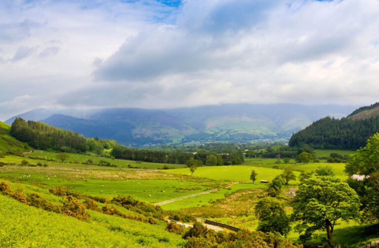 Discover the Secrets of Combermere Abbey